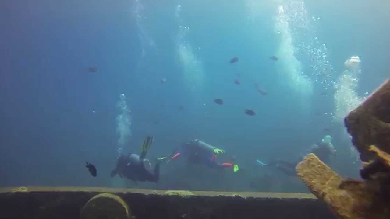 Dominican Republic Scuba Diving - Atlantic Princess Wreck Dive - YouTube