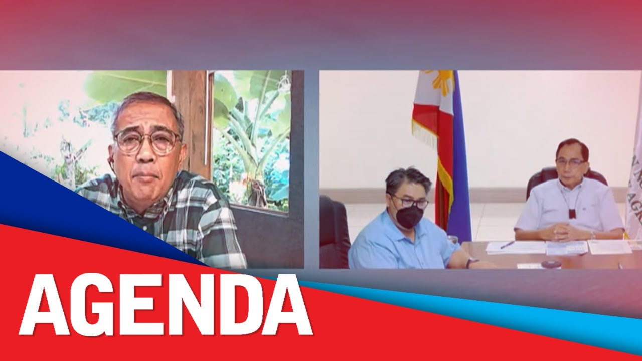 P1.6-billion released for hog raisers—DA - YouTube