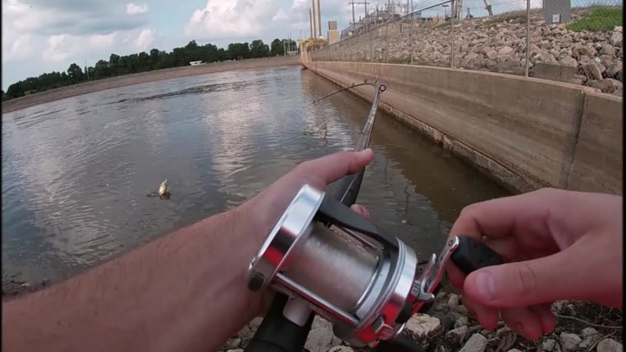 CATFISHING THE RIVER DAM 2019! - YouTube
