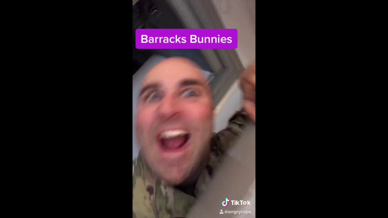 Barracks Bunnies Telegraph