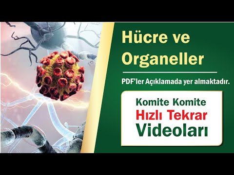 Komite Komite Hızlı Tekrar I Hücre ve Organeller