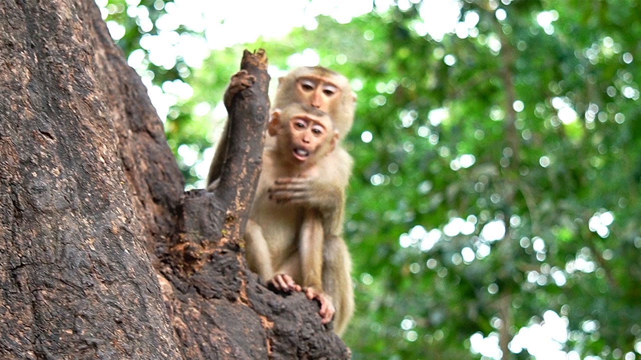 Katrina block Pretty breath when playful hug her tiny neck, Rick glance ...