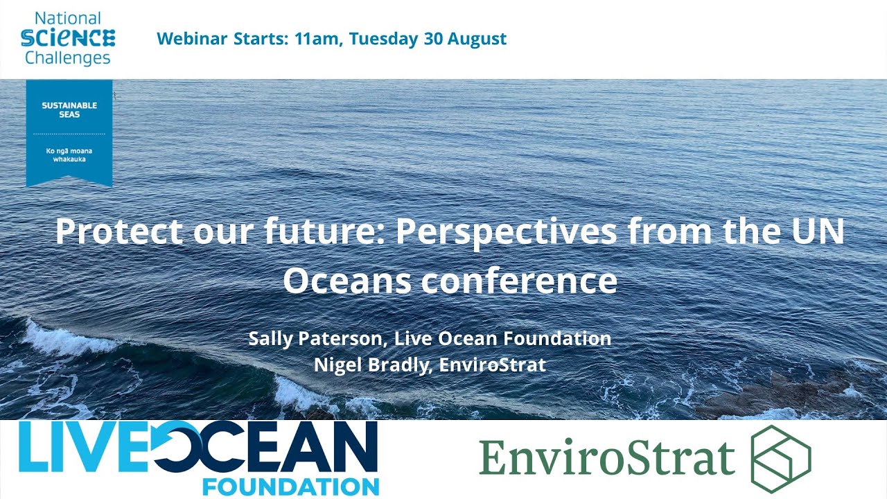 Webinar: Protect our future: perspectives from the UN oceans conference ...