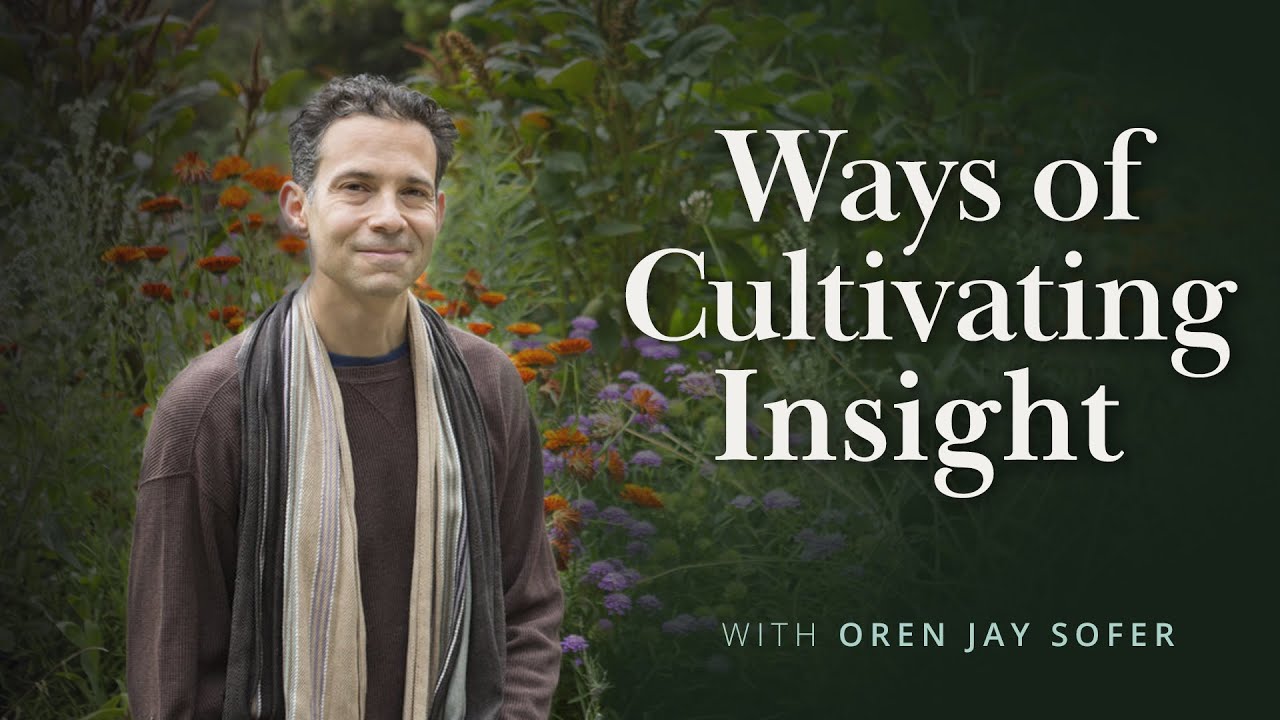 Ways of Cultivating Insight – Talk with Oren Jay Sofer - YouTube