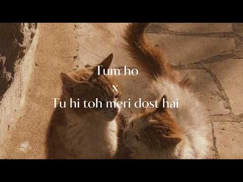 Tum ho x tu hi toh meri dost hai 🤌