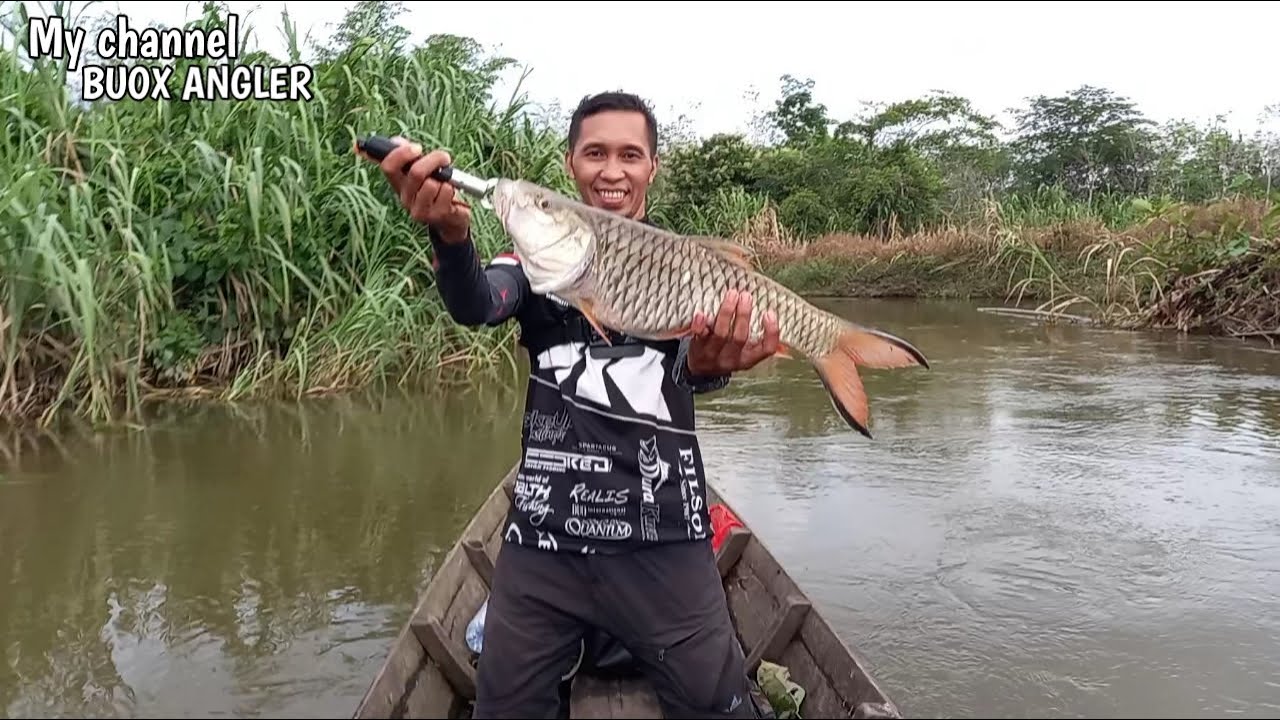 Casting ikan sebarau besar || sungai kalimantan#fishing #mancing # ...