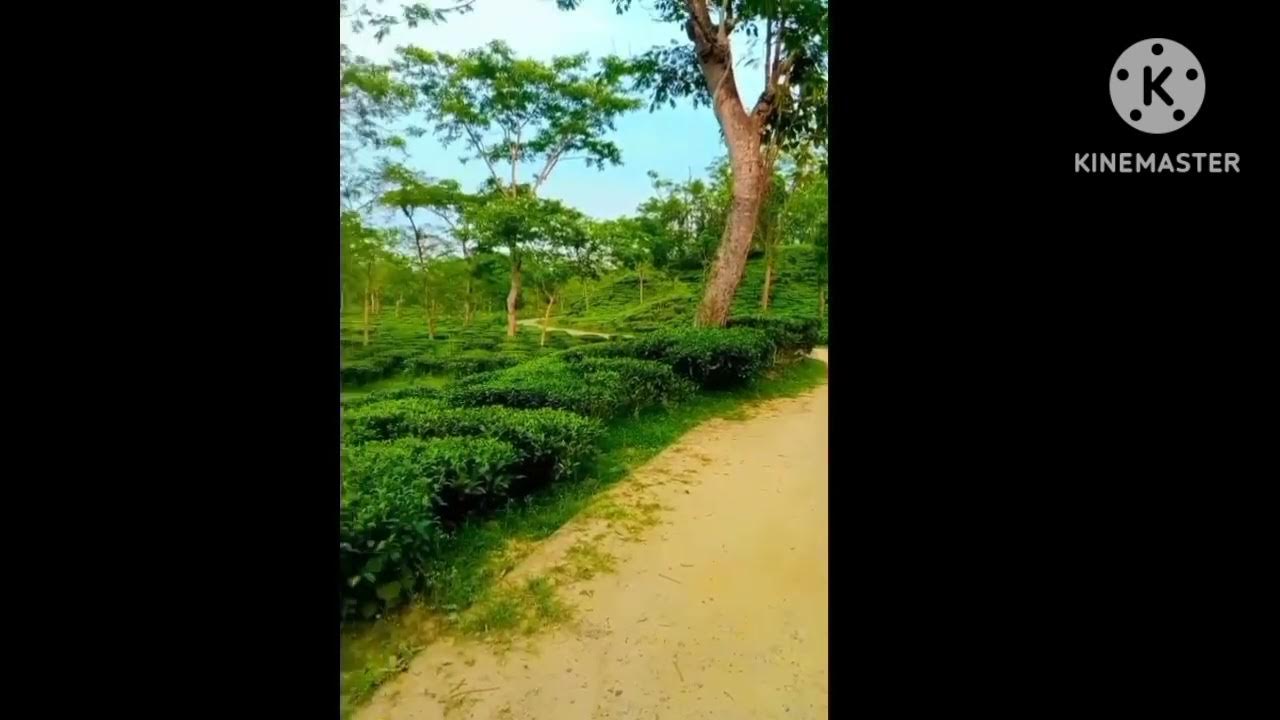 block channel 🩸Sundar subscribe 🩸 like 🩸oasys primer, 💓 - YouTube