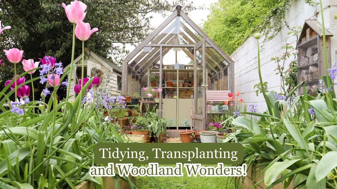 Late Spring Garden Tour: Tidying, Transplanting and Woodland Wonders ...