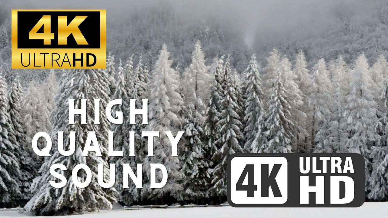 Snowstorm Blizzard Wind Sounds For Sleeping, Relaxing ~ Calm Snow ...