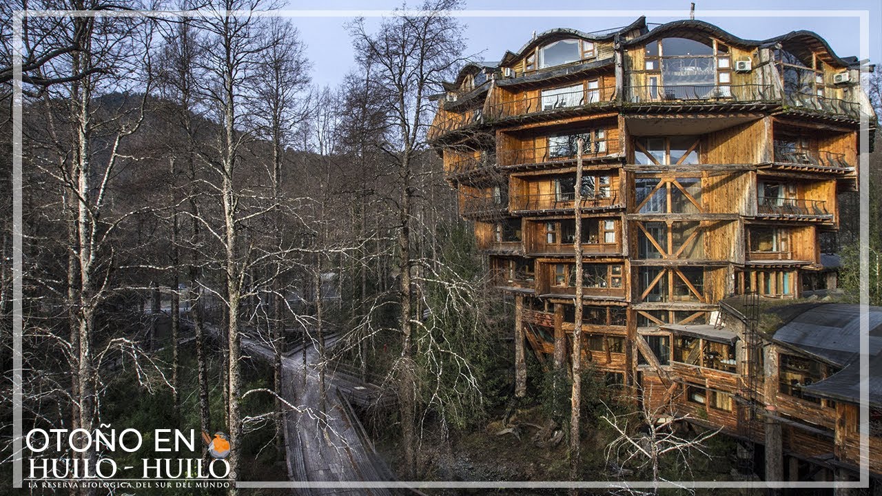 Otoño en Huilo Huilo - Reserva Biológica Huilo Huilo - YouTube