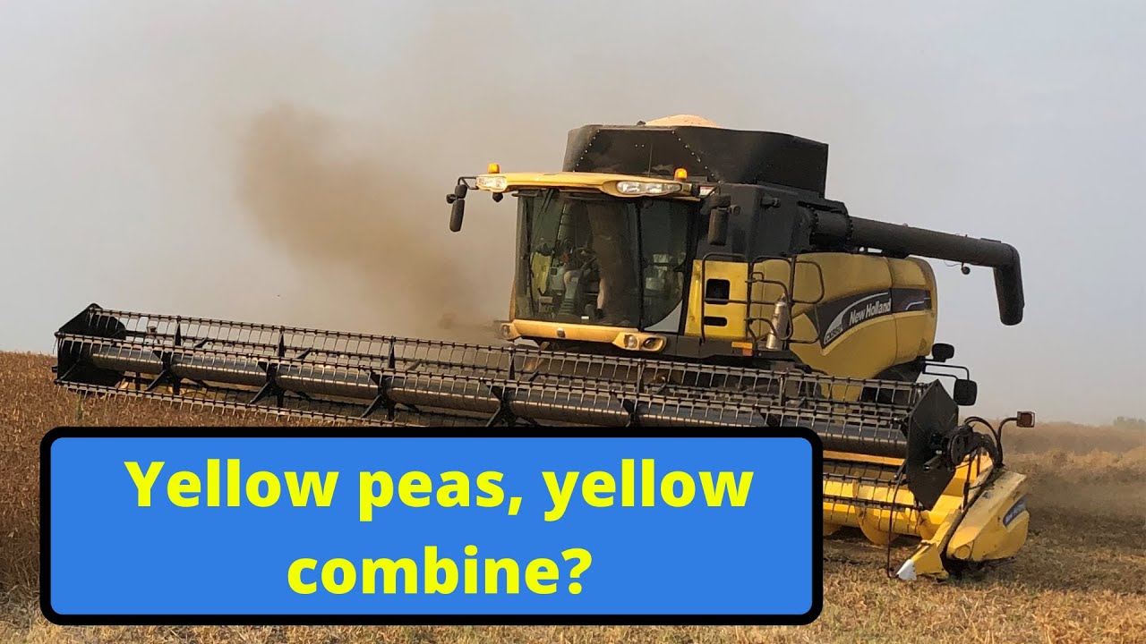 JD and NH Combining Peas, Wheat, Barbecuing, Baling, and Bin moving ...