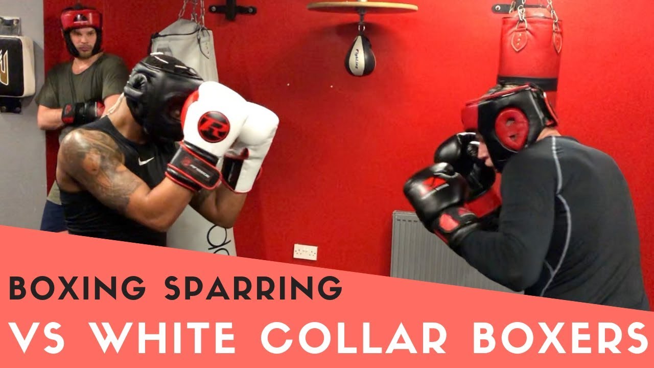 Boxing Sparring vs White Collar Boxers with commentary - YouTube