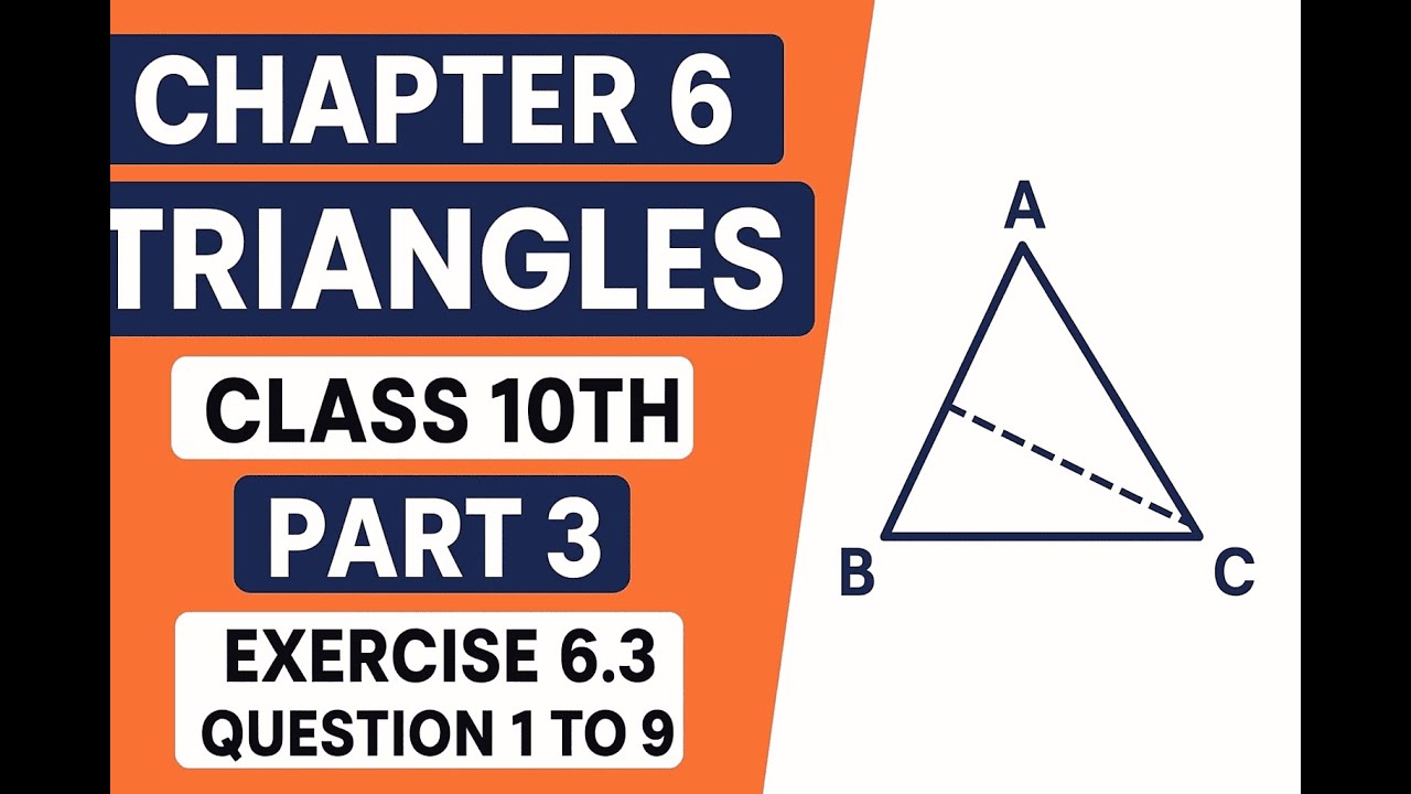 Chapter 6 Triangles Class 10th Part 3 Exercise 6 3 question 1 To 9 ...