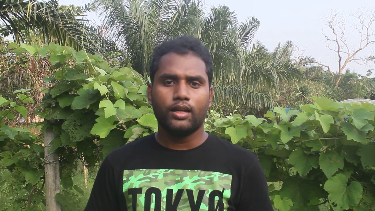 USAID Syngenta Ag Student Connection Program, 2017- Hasib Ahmad (SAU ...