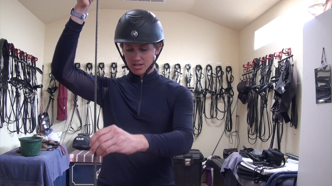 Dressage Tip: What are the Bending Aides? - YouTube