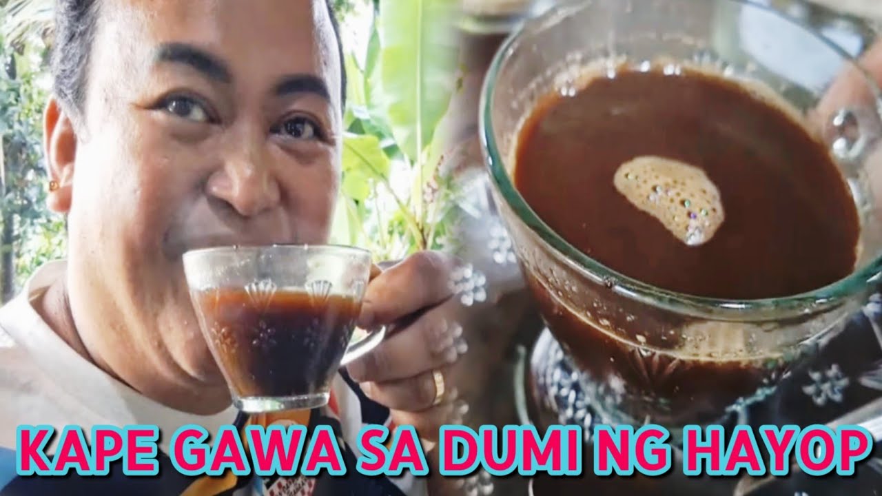 FREE TASTE COFFEE / KAPE GAWA SA DUMI NG HAYOP / BALI INDONESIA ...
