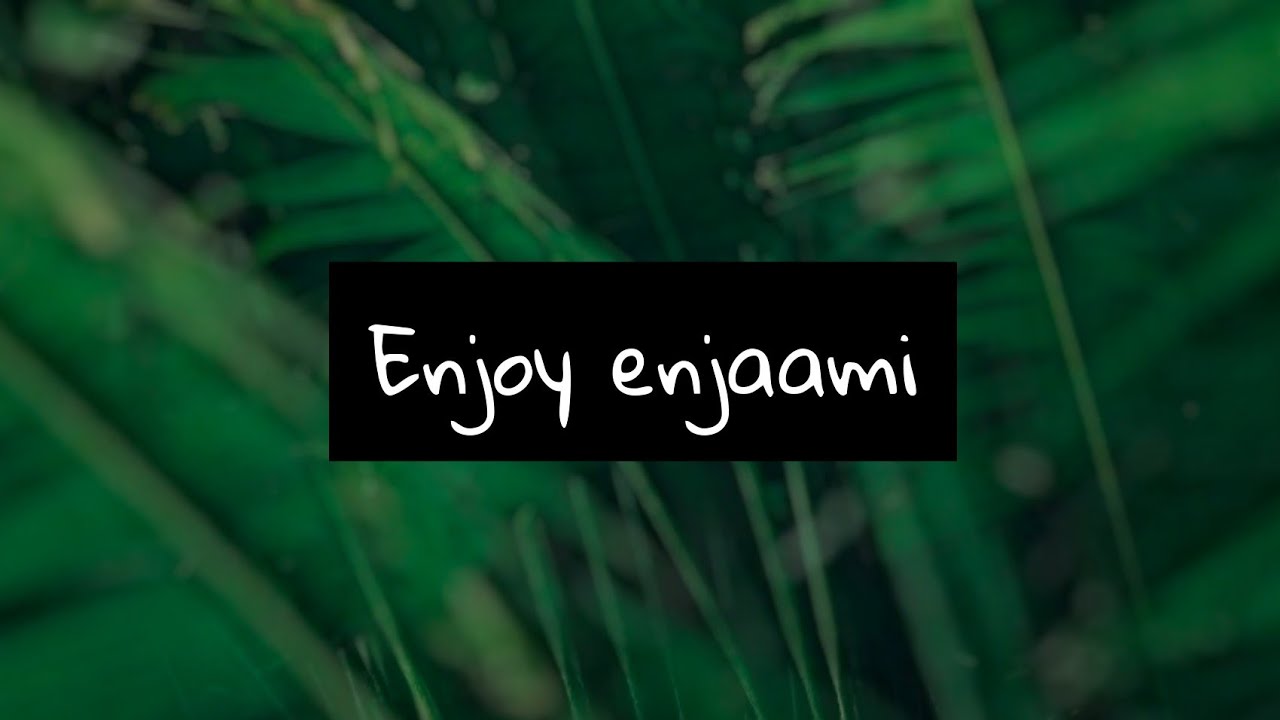Enjoy Enjaami - Dhee ft. Arivu - Lyrics - YouTube