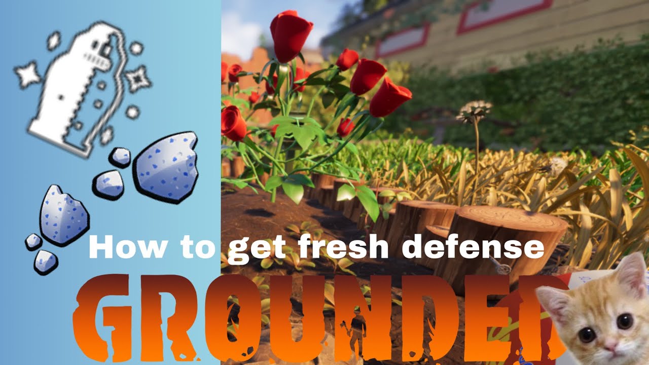 How to get fresh defense in grounded. - YouTube