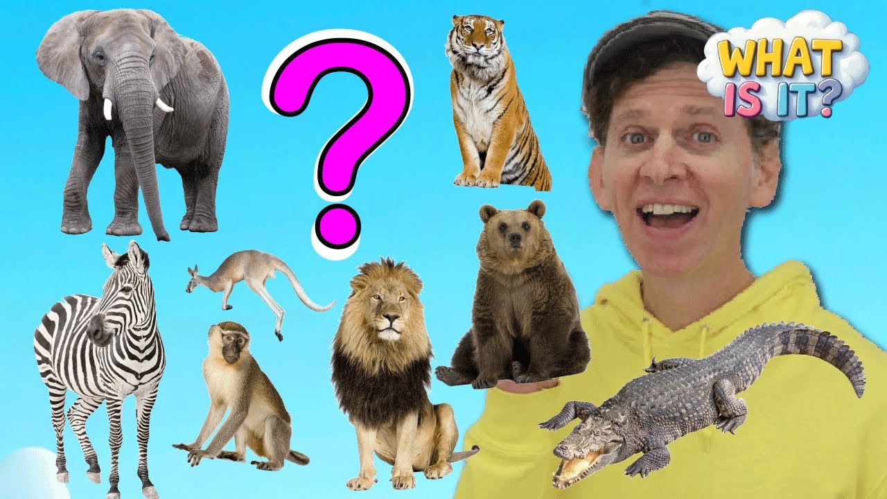Wild Animals What Is It? 🦁 🐘 | Guessing Game, Vocabulary Builder ...