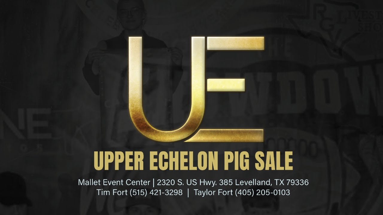 Upper Echelon Preview - YouTube