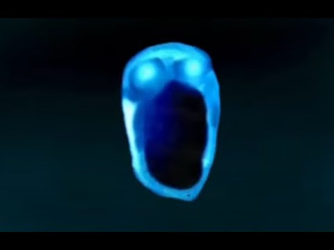 Roblox Doors 2 (Depth Concept) - YouTube