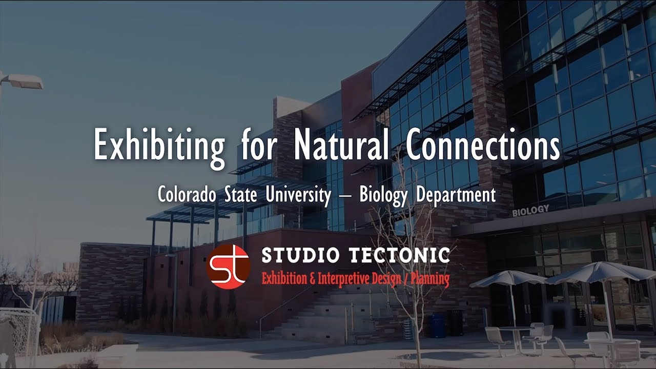 Exhibiting for Natural Connections - Biophilic Design - Seth Frankel ...