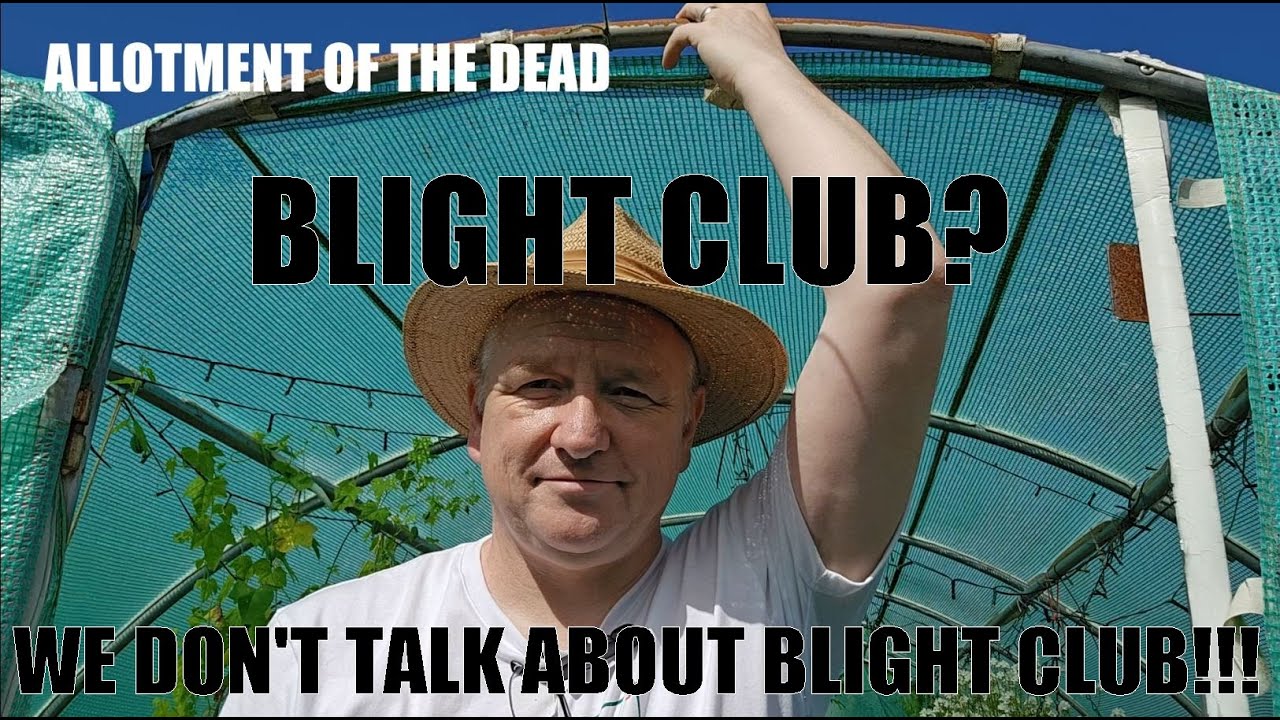 Welcome to Blight Club - YouTube