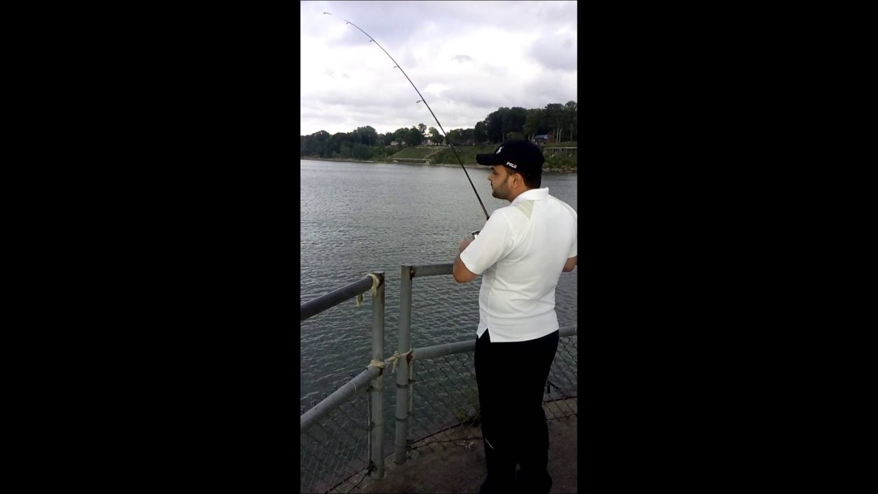 Shark in Lake Erie Ohio - YouTube