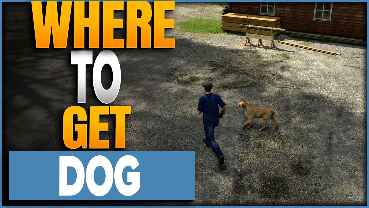 How To Get A Dog In Farming Simulator 25 - YouTube