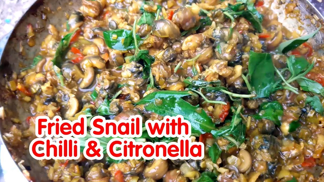 Fried Snail with Chilli & Citronella | How to make street food in ...