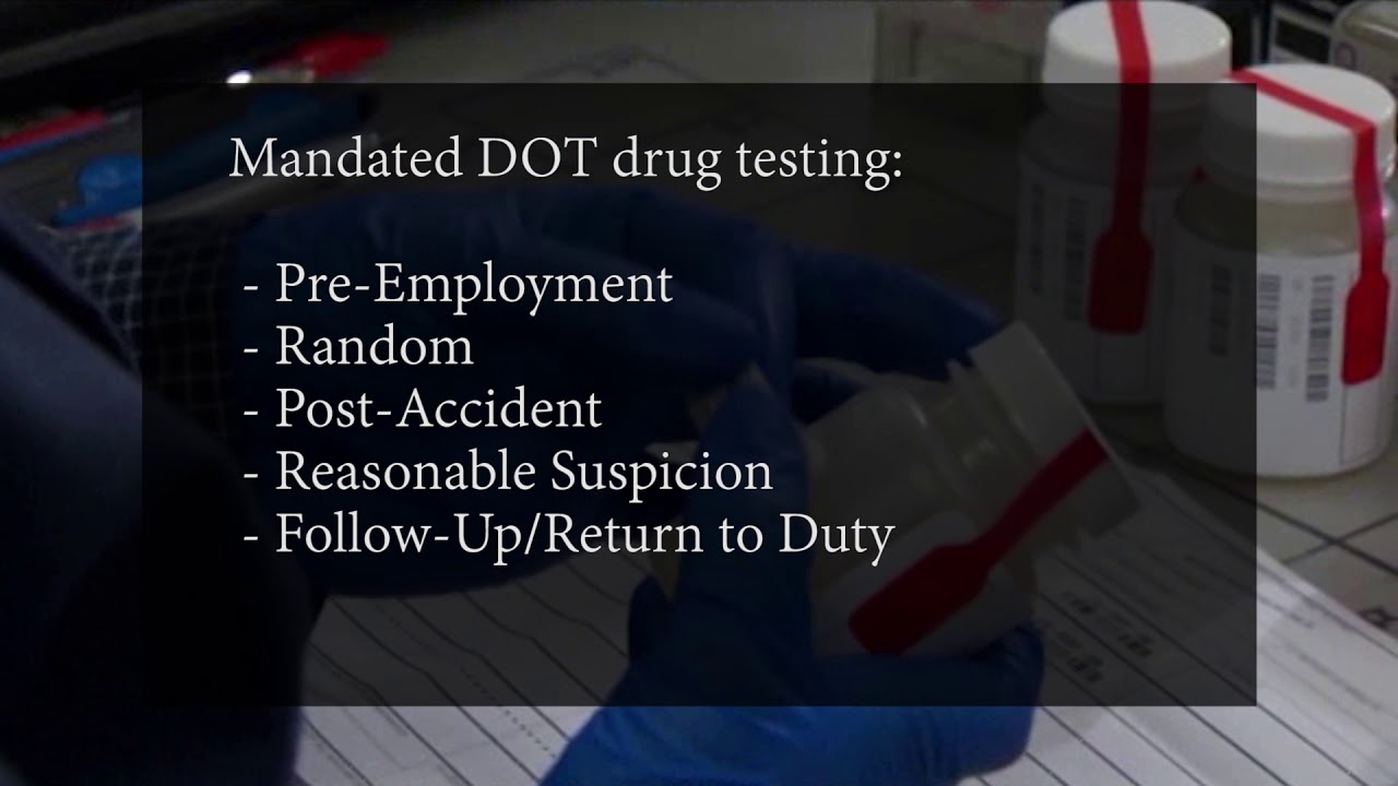 FMCSA Testing Requirements - YouTube