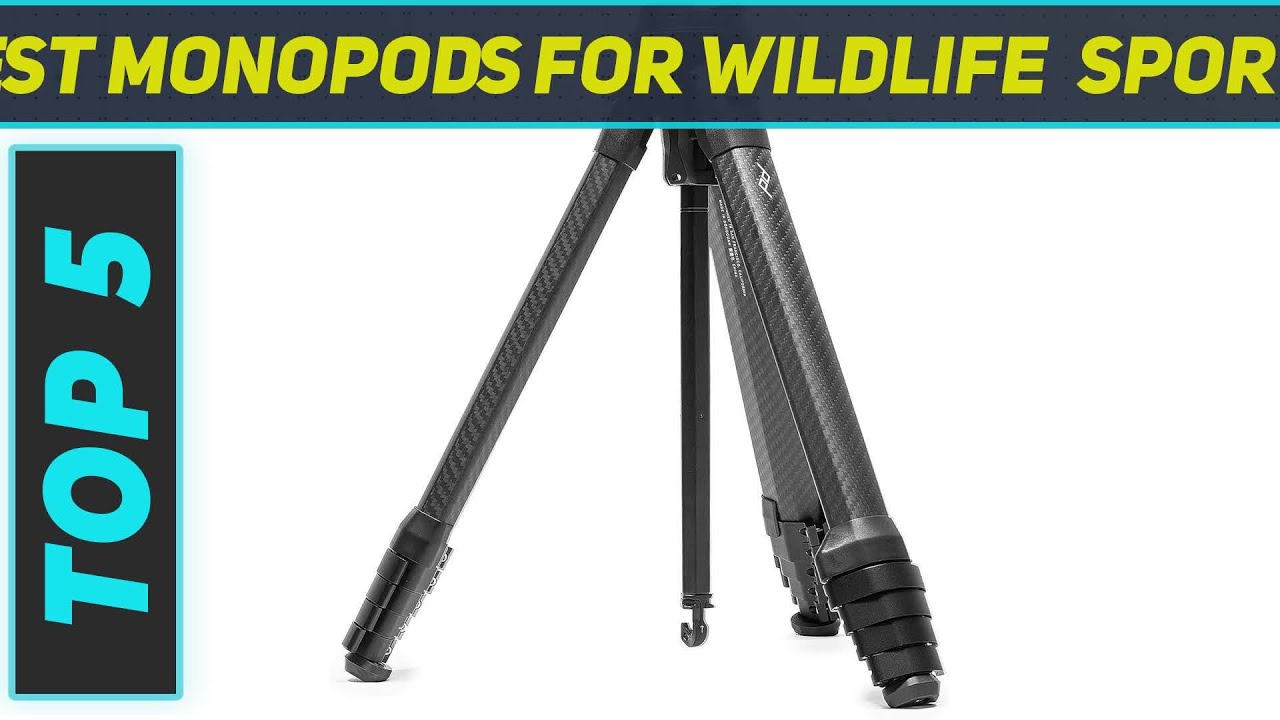 Top 5 Best Monopods For Wildlife, Sports in 2024 - YouTube