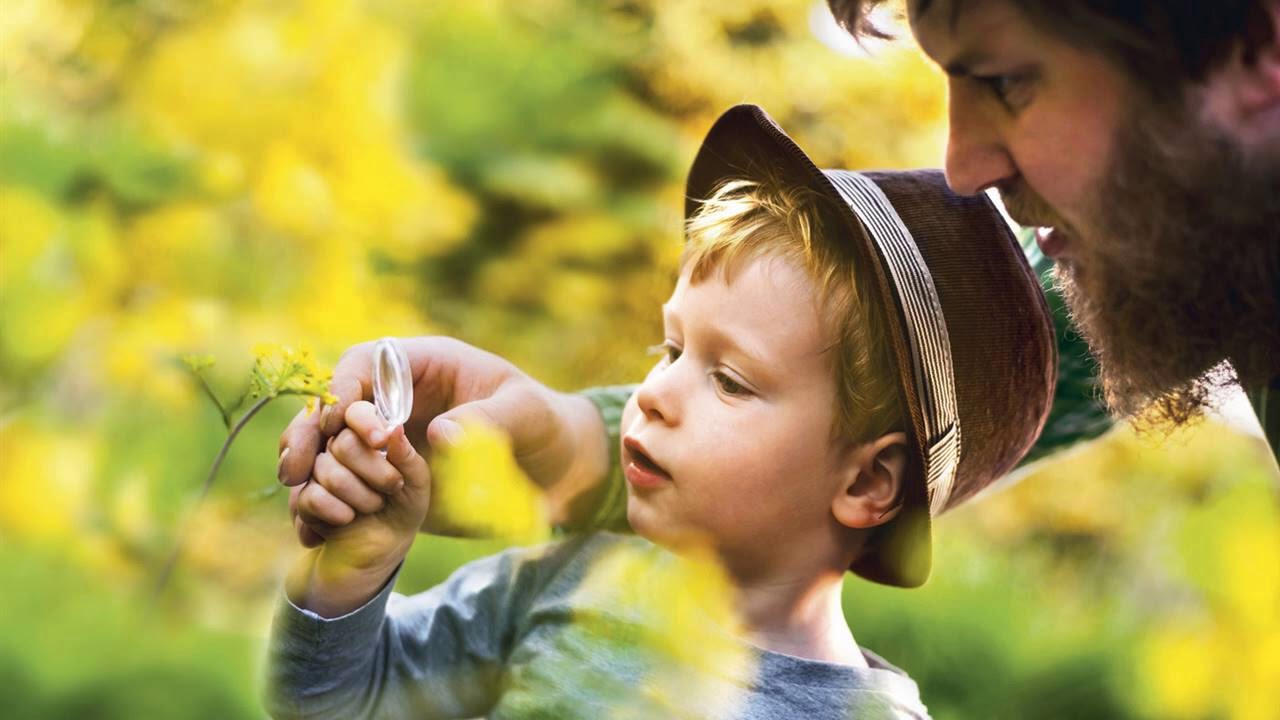 SÉPTIMA TRADICIÓN - YouTube