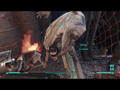 Twerking on Dogmeat