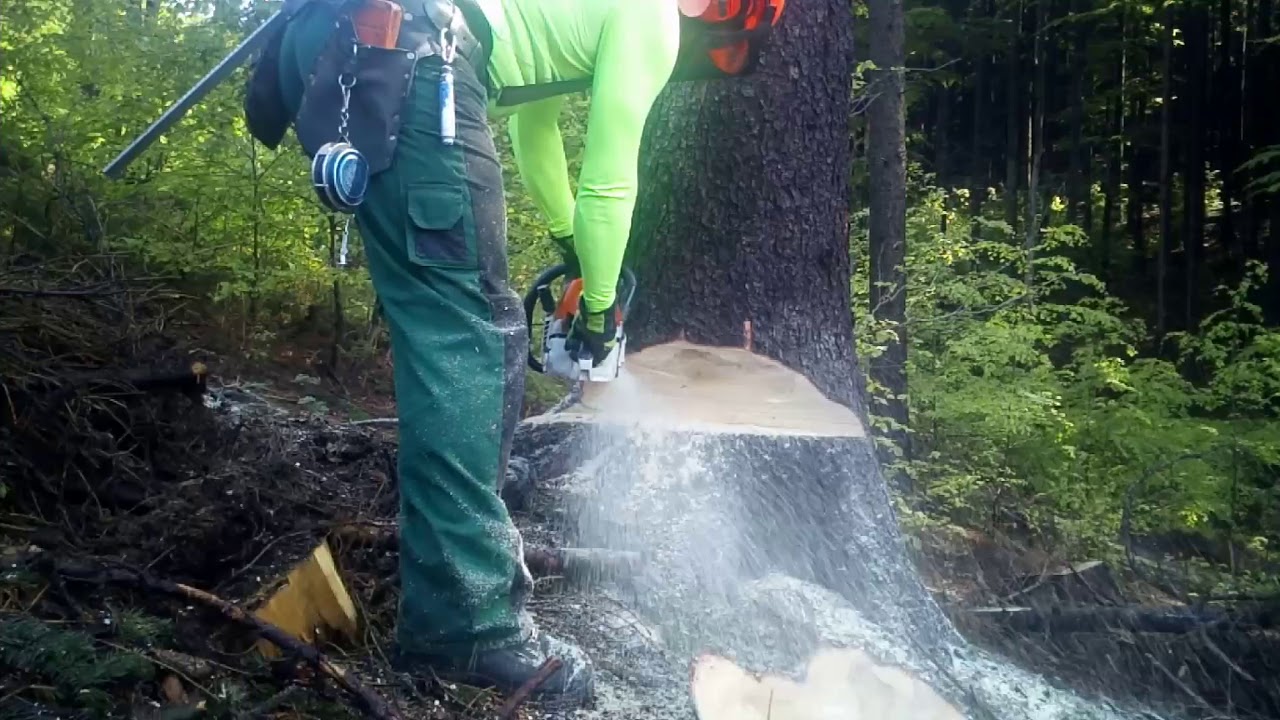 Working in forest, 202-2019, Im wald arbeiten, Práce v lese 🇨🇿 - YouTube