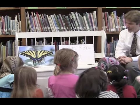 austin's butterfly - YouTube