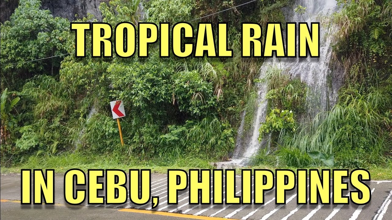 Tropical Rain In Cebu Philippines - YouTube