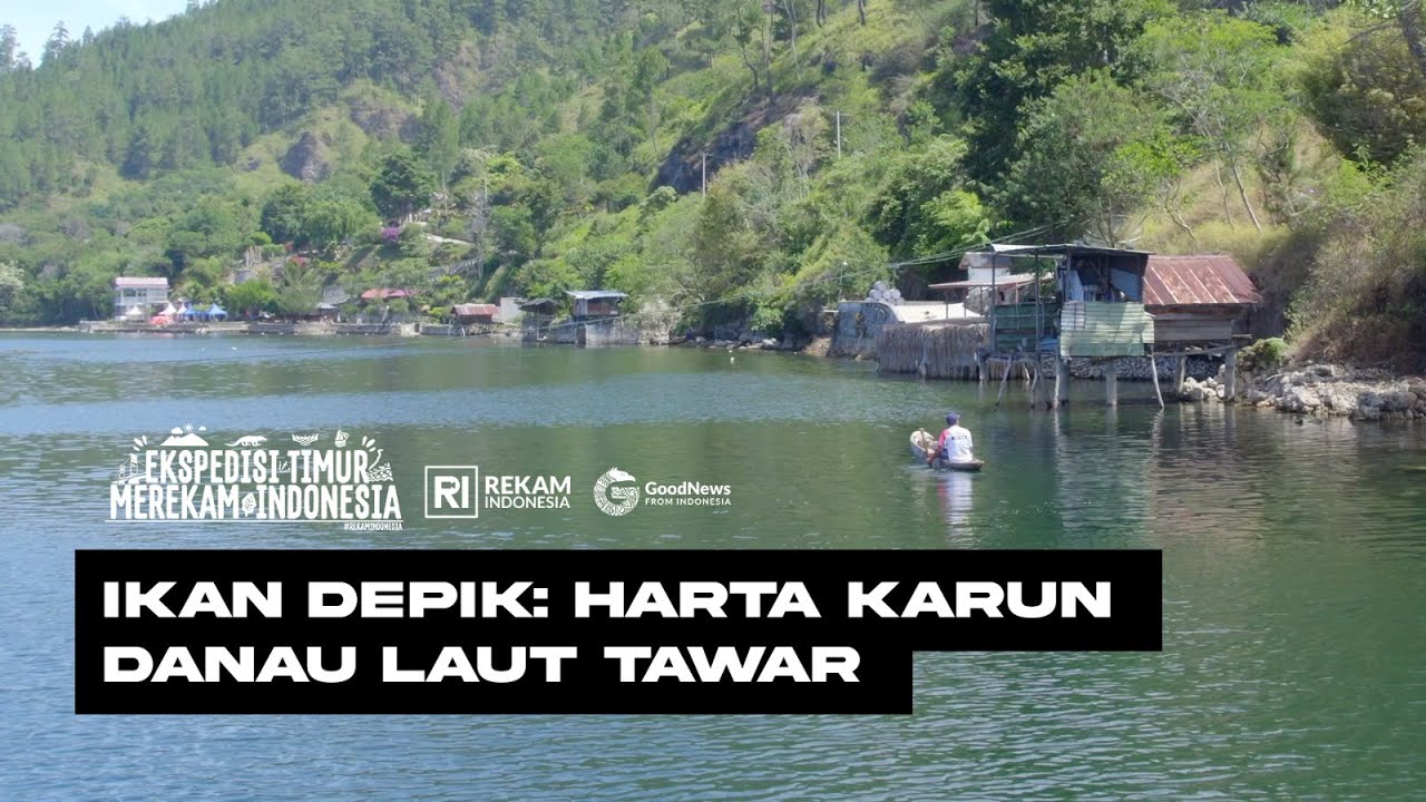 Ikan Depik: Harta Karun Danau Laut Tawar - YouTube