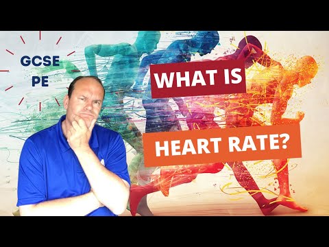 GCSE PE: Heart Rate - YouTube