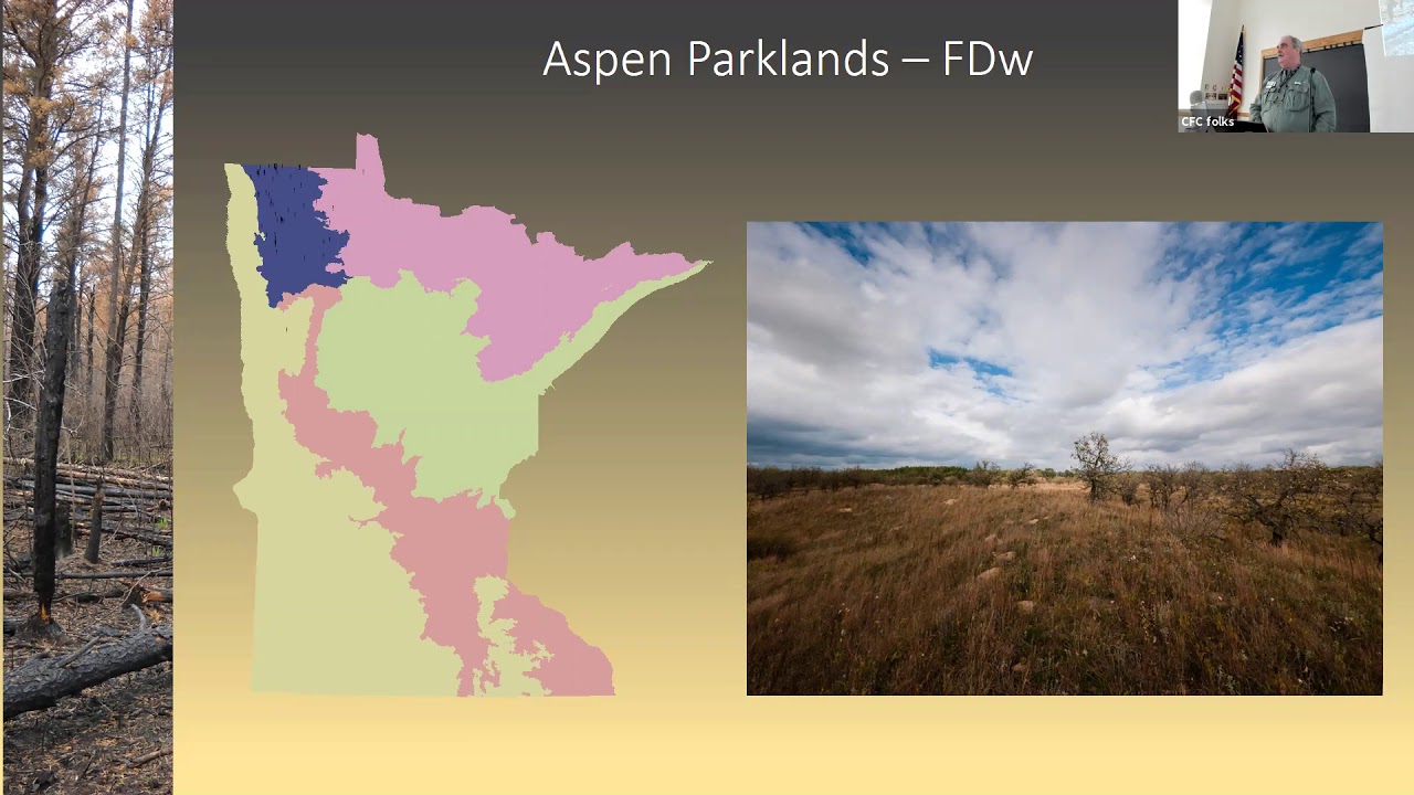 Almendinger: Fire-dependent Ecosystems of Minnesota - YouTube