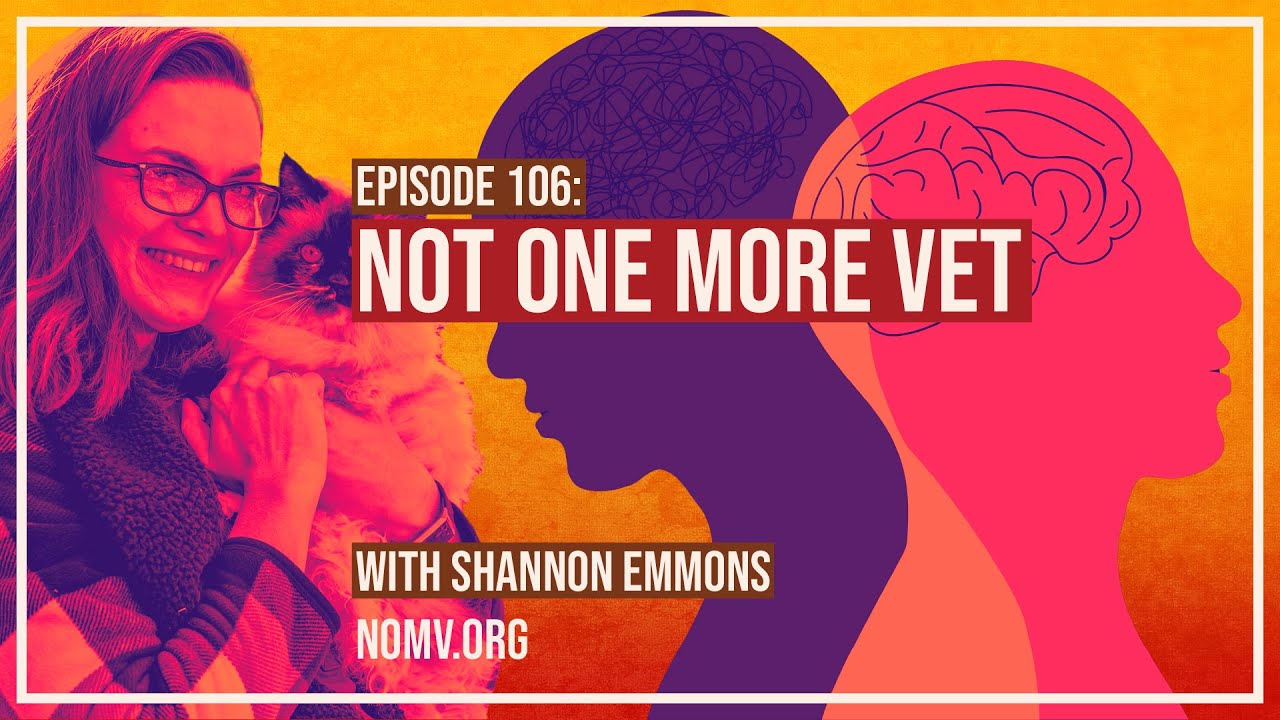 Episode 106: Not One More Vet With Shannon Emmons - YouTube