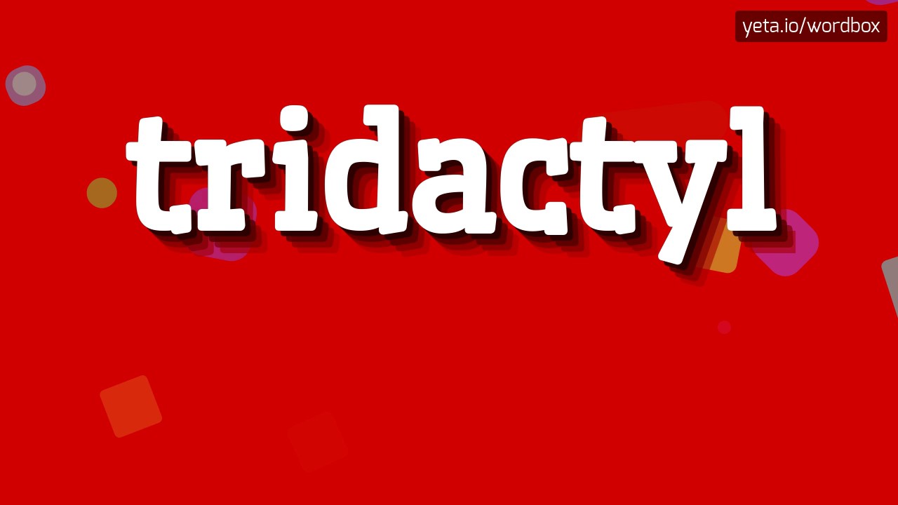 TRIDACTYL - HOW TO PRONOUNCE IT!? - YouTube