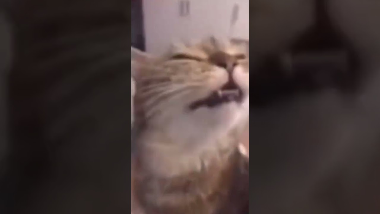 ein und zwanzig drei und vierzig - YouTube