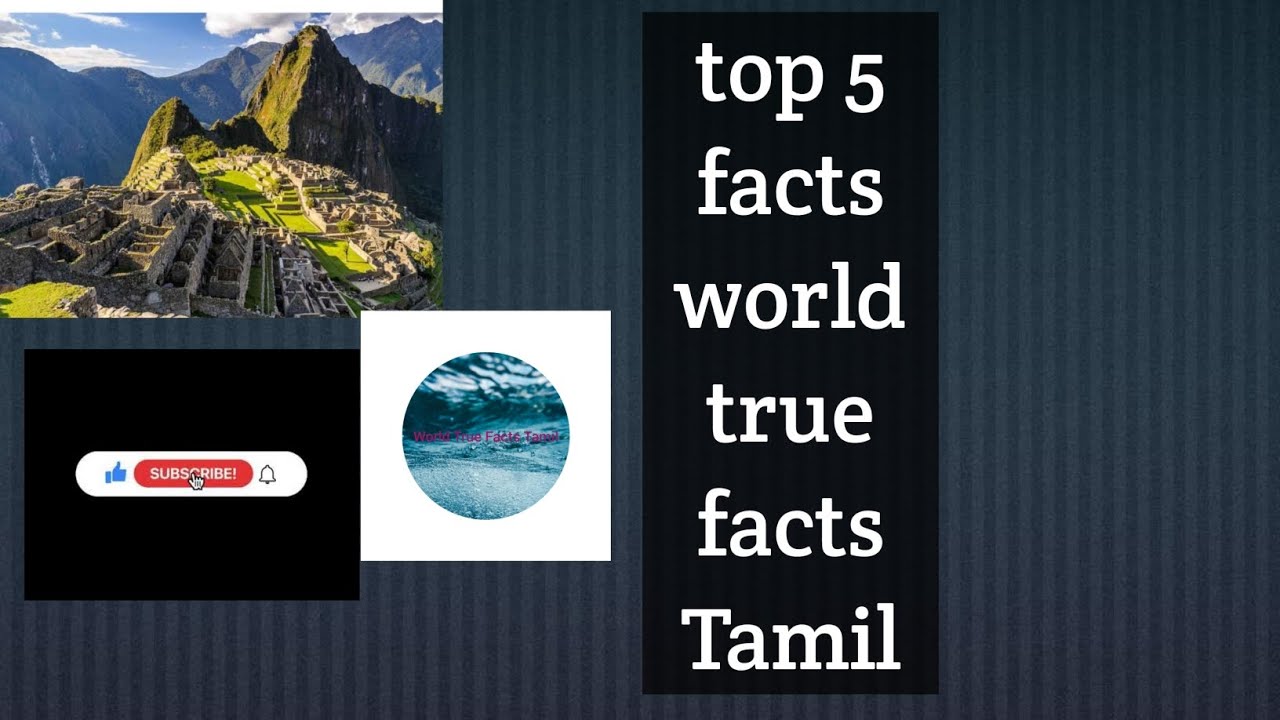 TOP 5 FACTS TAMIL WORLD TRUE FACTS TAMIL - YouTube