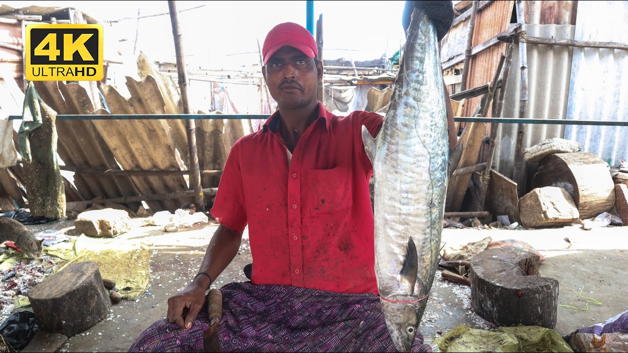 ORIGINAL VANJARAM FISH/SEER FISH EXCELLENT THIN SLICE CUTTING | BIG ...