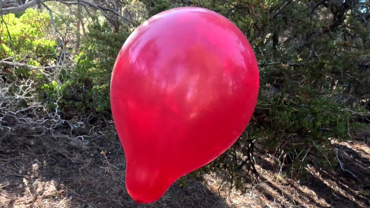Big Red Balloons, Forest Balloon Play to Pop 23 - YouTube