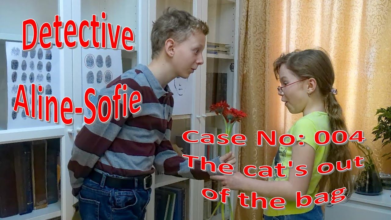 Detective Aline-Sofie. Case No: 004. The cat's out of the bag - YouTube