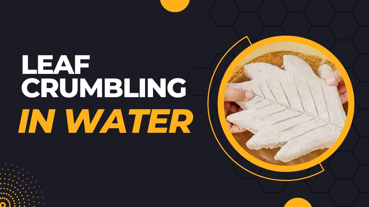 Big leave Crumbling in water 💦 | ASMR Crumbling Videos | Bricks Sand Hub - YouTube