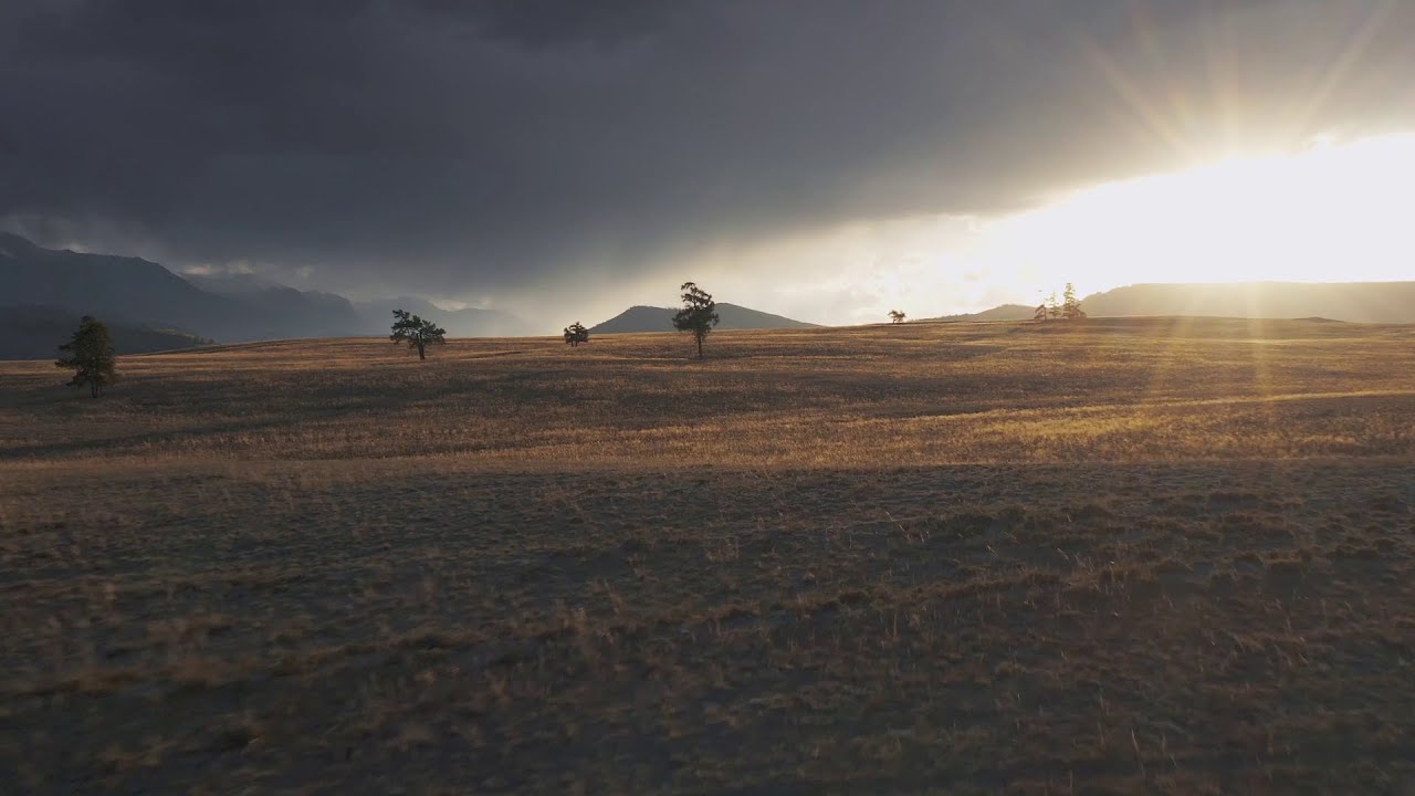 Gabriel Light | Overrun (Official Lyrics Video 2021) - YouTube