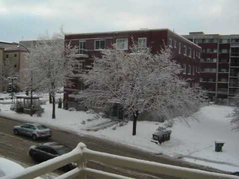 Beliy Beliy Beliy Sneg   